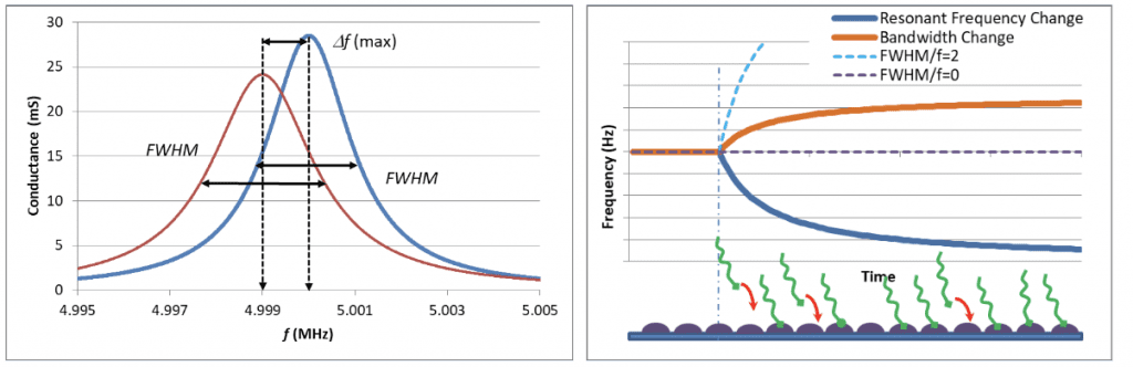 The Principles of QCM-I | QCM Sensors